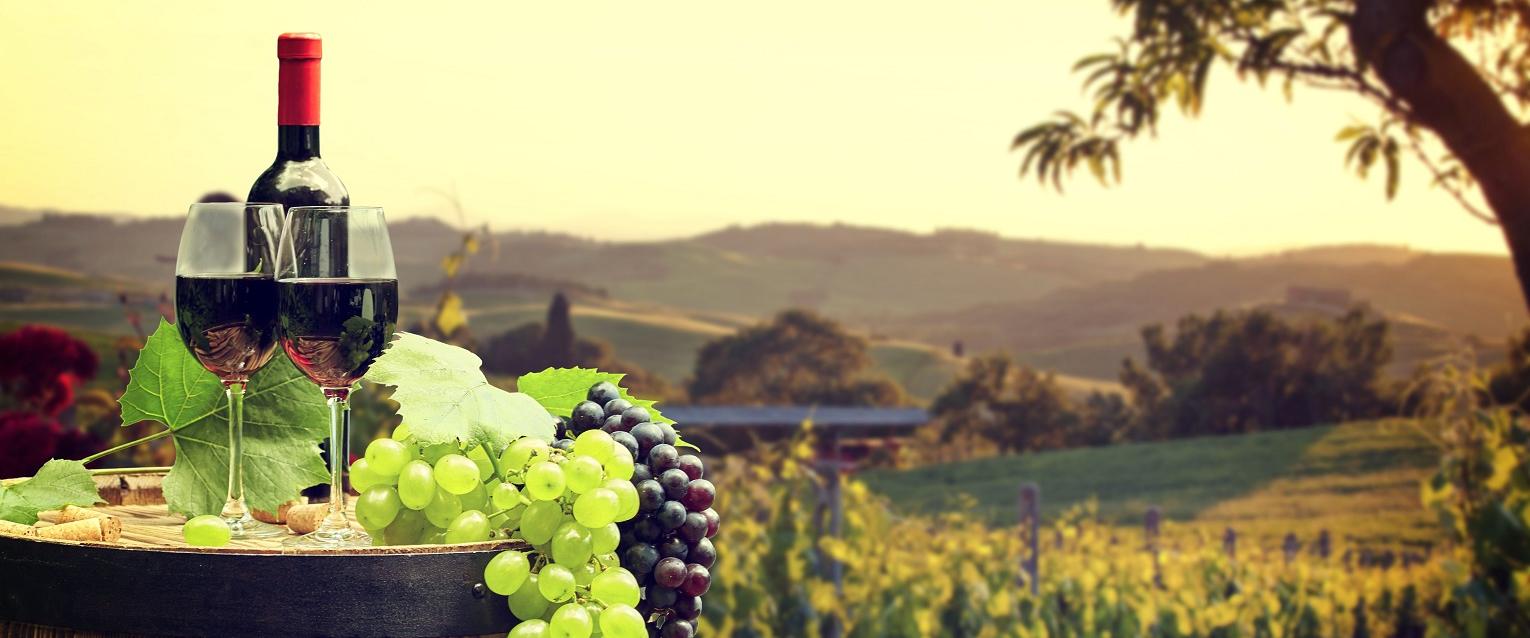 A fost lansată harta virtuală a vinăriilor din Moldova. Ce crame ...