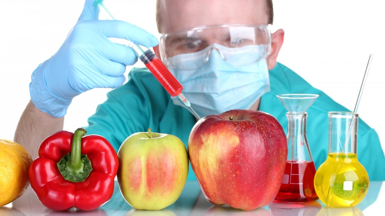 Moldova a interzis cultivarea organismelor modificate genetic - Bani.md