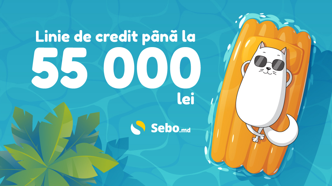 Cu Credit Line de la SEBO ai până la 55 000 de lei - Bani.md