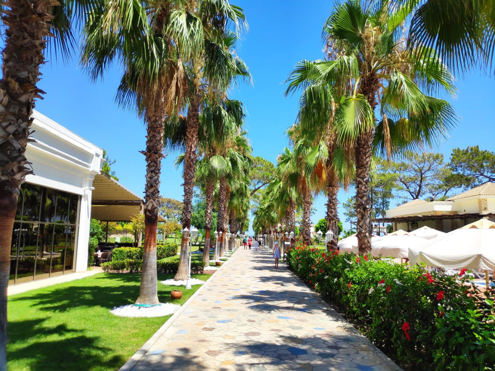 Moldovenii cuceresc plajele Turciei! Cifre impresionante în 2024 – 330 ...