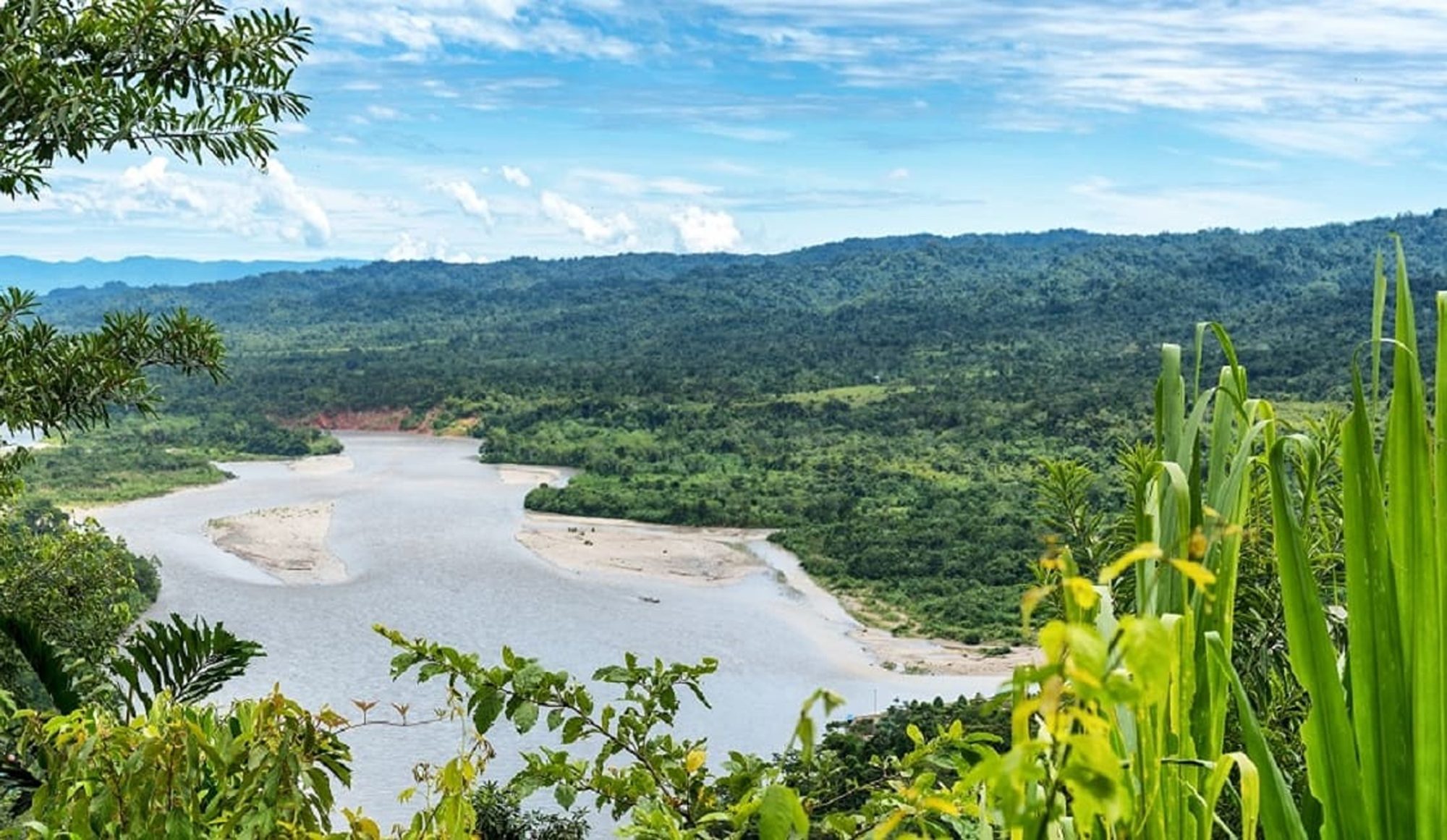 Cum finanțează cele mai mari bănci din lume distrugerea Amazonului ...